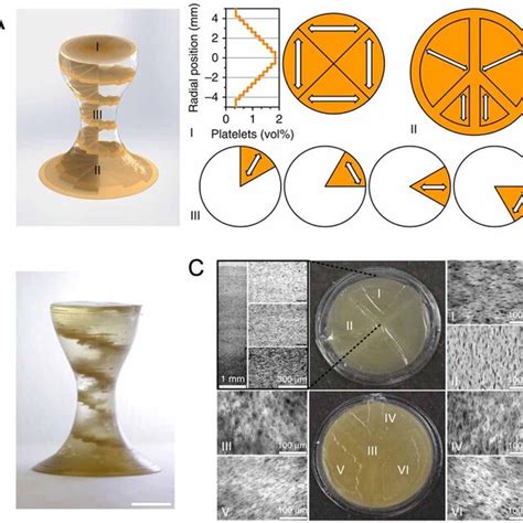 Overview Of 3d Bioprinting Including Bioink Composition Common Types Download Scientific
