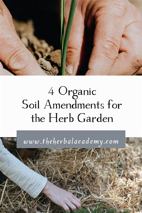 4 Organic Soil Amendments For The Herb Garden Herbal Academy