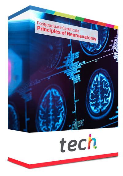 Postgraduate Certificate In Principles Of Neuroanatomy Tech Thailand