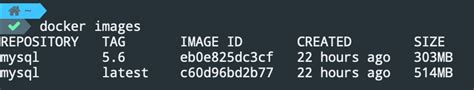 12 Essential Docker Commands You Should Know By Mahbub Zaman