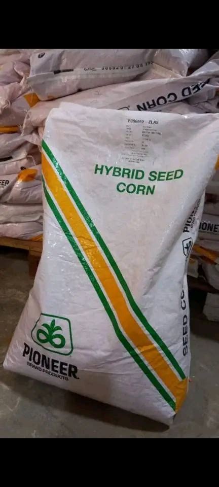 Pioneer Corn Seeds Ladi Morals Mart