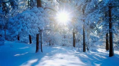 Iarna Se întoarce în Forță Val De Aer Polar Peste România Unde