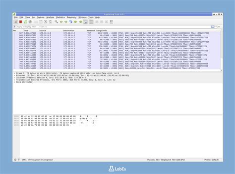 Wireshark でネットワークトラフィックをキャプチャと分析 ネットワーク解析 Labex