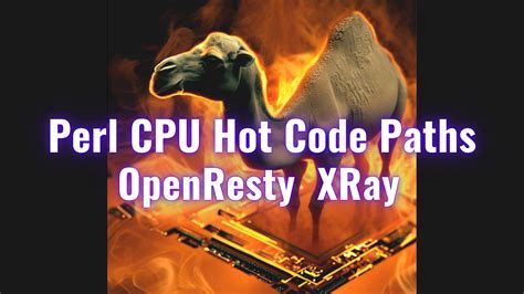 Pinpointing The Hottest Perl Code Paths In Openrestynginx Servers