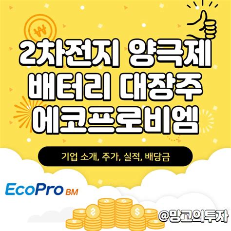 분석 2차전지 양극제 전고체 배터리 관련 대장주 에코프로비엠 주식 기업 소개 주가 실적 배당금 전망 네이버 블로그