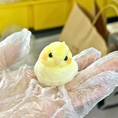 Your Ultimate Destination For Adorable Squishies Fluffykawaiistore