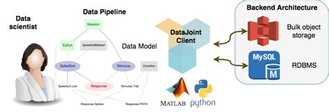 data pipelines datajoint documentation