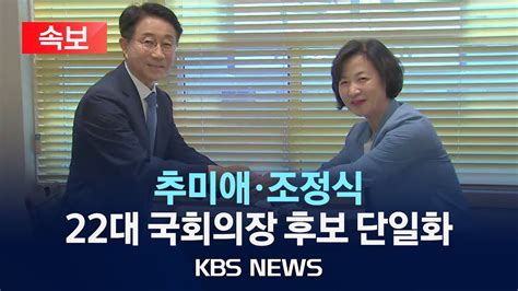 속보 추미애·조정식 의원 후보 단일화22대 첫 국회의장 선거 추미애·우원식 2파전2024년 5월 12일일kbs
