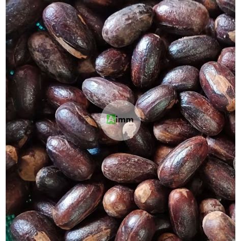 Jual Biji Pala Kering Simplisia Biji Pala 100 Gram Shopee Indonesia