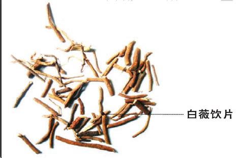 白薇 清热祛湿药 医学