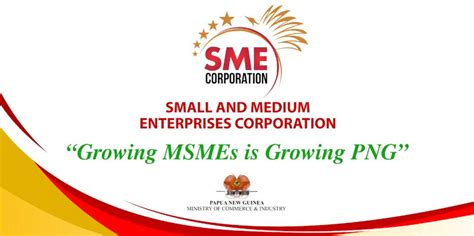 Audit Team Put In Place By Sme Corporation — News — Png Business News