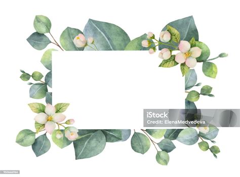 수채화 벡터 녹색 꽃 카드 유칼립투스 잎 재 스민 꽃과 흰색 배경에 고립 된 지점 재스민에 대한 스톡 벡터 아트 및 기타 이미지 재스민 인사장 꽃 식물 Istock