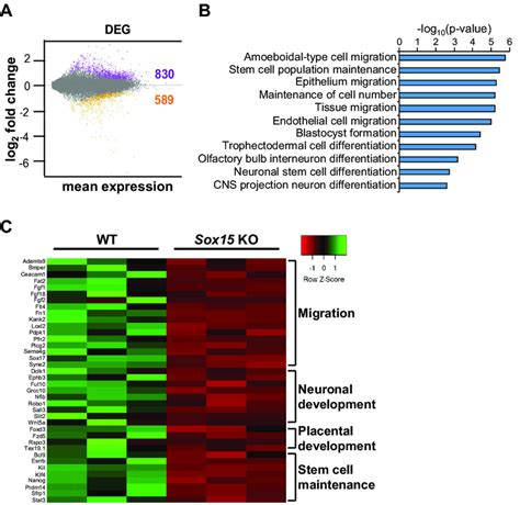 Rnaseq Analysis Identifies Gene Expression Profile Eqtls Identify