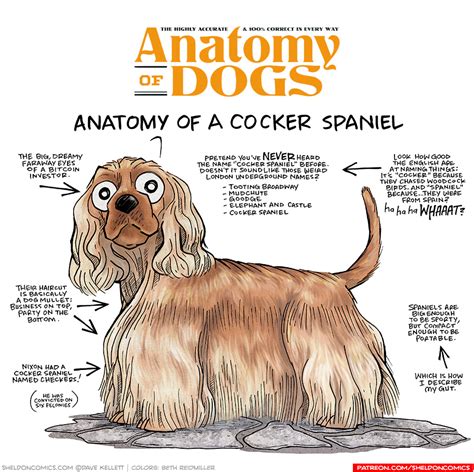 Anatomy Of A Cocker Spaniel Sheldon® Comic Strip