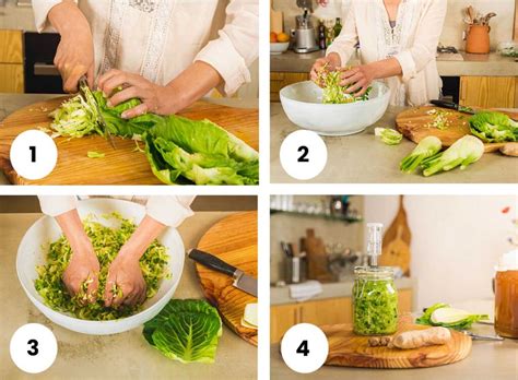 Delicious Homemade Sauerkraut Recipes Easy To Make