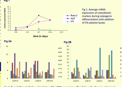 Figure 2 From Osteogenic Differentiation Of Fibroblast Derived From Patients With Fybrodisplasia