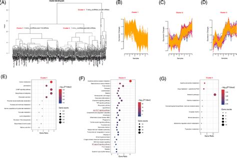 The K‐means Clustering Algorithm Divided The Differentially Expressed