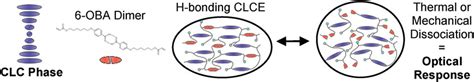 Large Range Thermochromism In Liquid Crystalline Elastomers Prepared