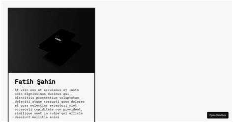 React Challenge Dev Profile V2jonasschmedtmann Codesandbox