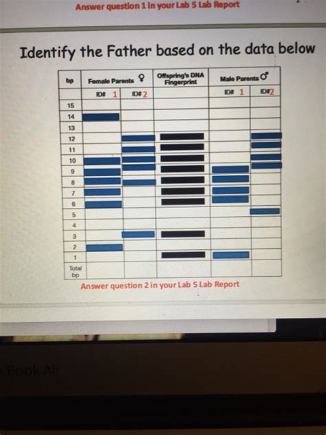 Solved Textedit File Edit Format View Window Lab 5 Lab
