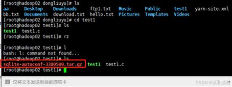 Linux中安装配置sqlite3，并实现c语言与sqlite3的交互。linux Sqlite3 Csdn博客