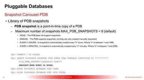 oracle multitenant 19c all about pluggable d pdf