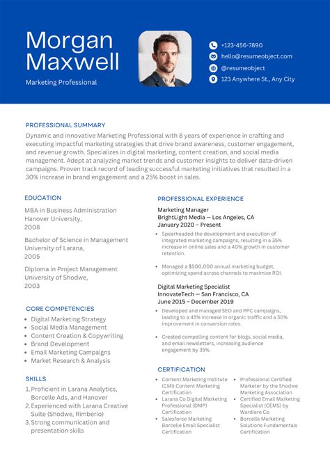 Survey Programmer Resume Free Template 30 Examples Resume Object