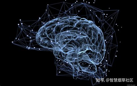 【机器学习】解锁ai密码：神经网络算法详解与前沿探索 知乎