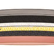 Schematic Of Coin Cell Assembly Download Scientific Diagram