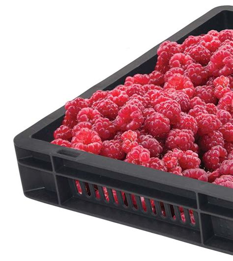 Berry Growers Love Our Gobox 1230 Raspberry Tray Grocery Trader