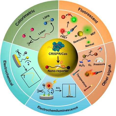Crispr‐cas System Manipulating Nanoparticles Signal Transduction For