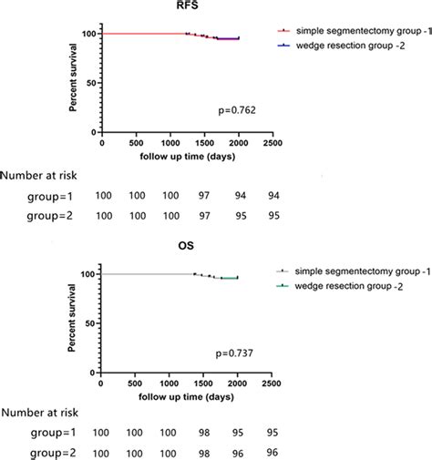 The 5 Year Rfs And Os In Simple Segmentectomy Group Was 94 And 95 And