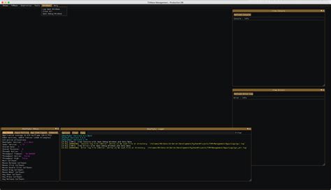 Additional Positioning And Size Parameters For The Debug And Logger Windows Issue