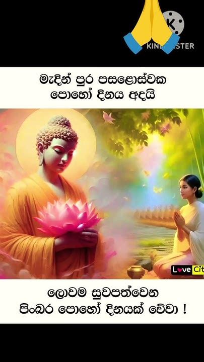 මැදින් පුර පසළොස්වක පොහෝ දිනය අදයි🙏ලොවම සුවපත්වෙන පිංබර පොහෝ දිනයක් වේවා 🙏 Youtube