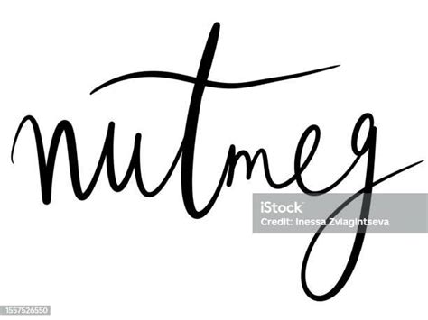 심플한 디자인 요소 블랙 레터 브러시 레터링 광고 라벨 스티커 레시피 메뉴 향신료 및 소스 육두구 손 스타일 브랜드 로고 0명에 대한 스톡 벡터 아트 및 기타 이미지