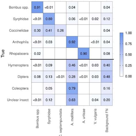 normalized confusion matrix of predictions of the best yolov5 model