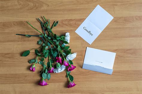 편지의 종이와 바닥에 흩어진 꽃 나쁜 발렌타인 데이에 깨진 관계 개념 0명에 대한 스톡 사진 및 기타 이미지 0명 Scandal 개념 Istock