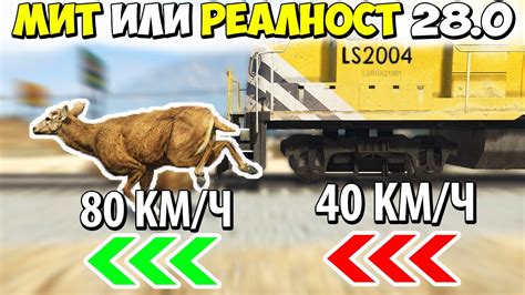 МИТ ИЛИ РЕАЛНОСТ 28 0 Gta 5 Youtube