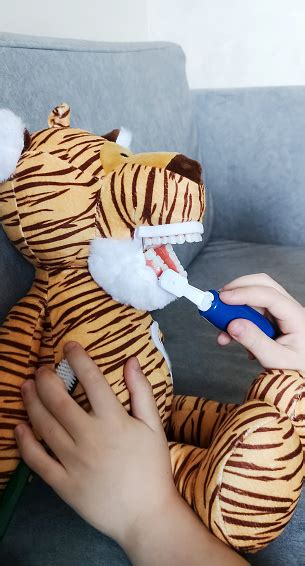 한 소년이 인공 턱이 달린 장난감으로 양치질을 하고 있다 치과 의사로 플레이하고 소아 치과 의사의 직업을 위해 어린이를