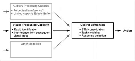 3 Model Of The Structure Of Information Processing To Explain