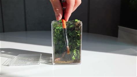 Asmr 버려지는 쿠키통 재활용해서 테라리움 만들기 Youtube