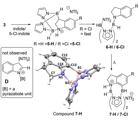 Borylation Directed Borylation Of Indoles Using Pyrazabole