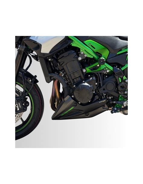 Sabot Moteur Ermax Kawasaki Z900 2025