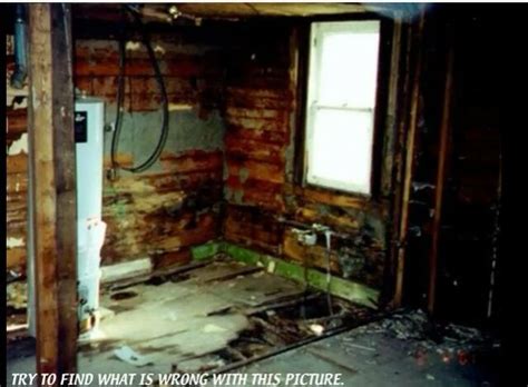 Sabotage Whats Wrong With This Picture Screamer Wiki