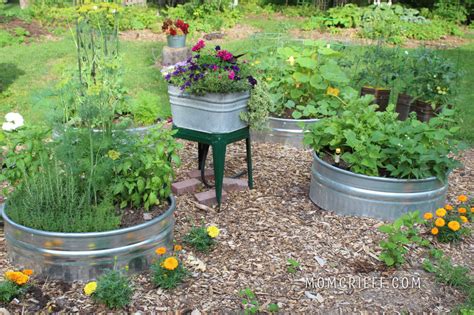 Metal Raised Garden Beds Momcrieff