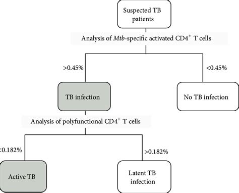 Latent Tb And Breastfeeding Tuberculosis Tb Fact Sheets Tuberculin