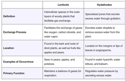 Spectrometer Vs Spectrophotometer Biology Notes Online