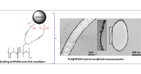 Controlled Anchoring Of Iron Oxide Nanoparticles On Polymeric Nanofibers Easy Access To Core