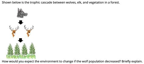 Solved Shown Below Is The Trophic Cascade Between Wolves