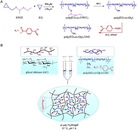 Figure 1 From An Injectable Hydrogel Formed By In Situ Cross Linking Of